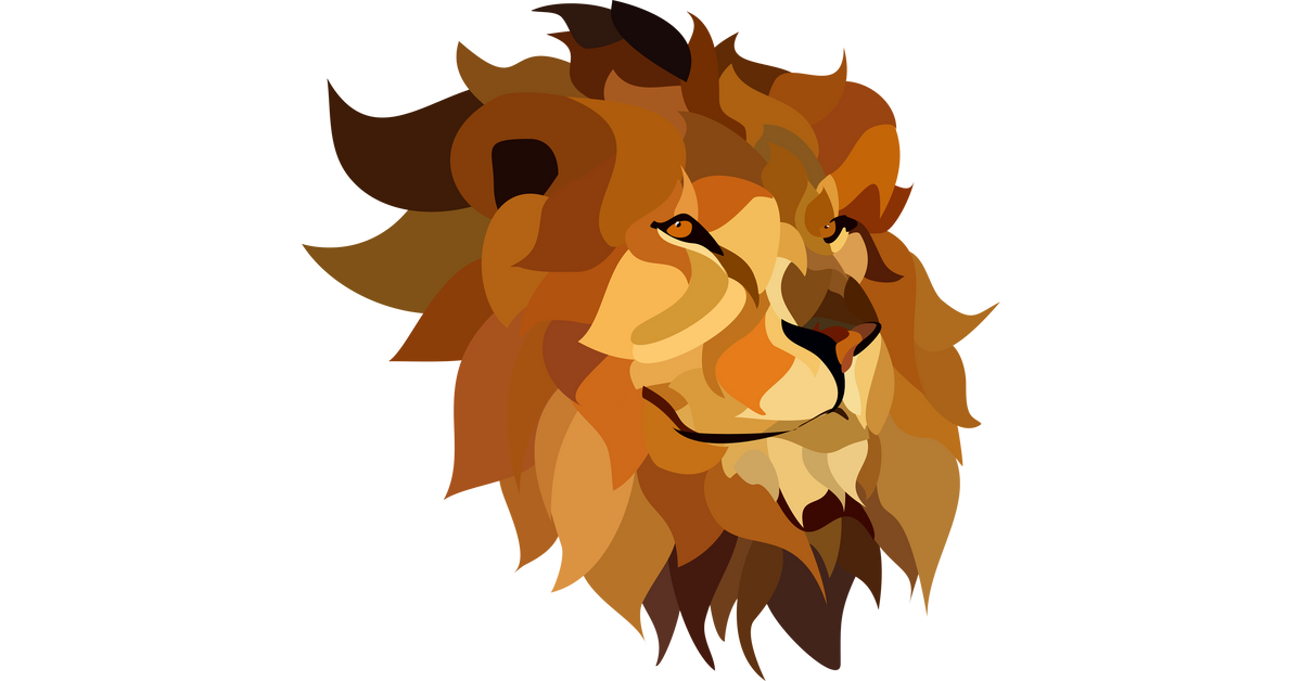 Premium Acryl Boxen – LionTCG
